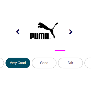 Surveys – Forsta Demo