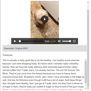 Digital Diaries – Forsta Demo