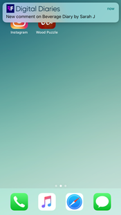 Digital Diaries – Forsta Demo